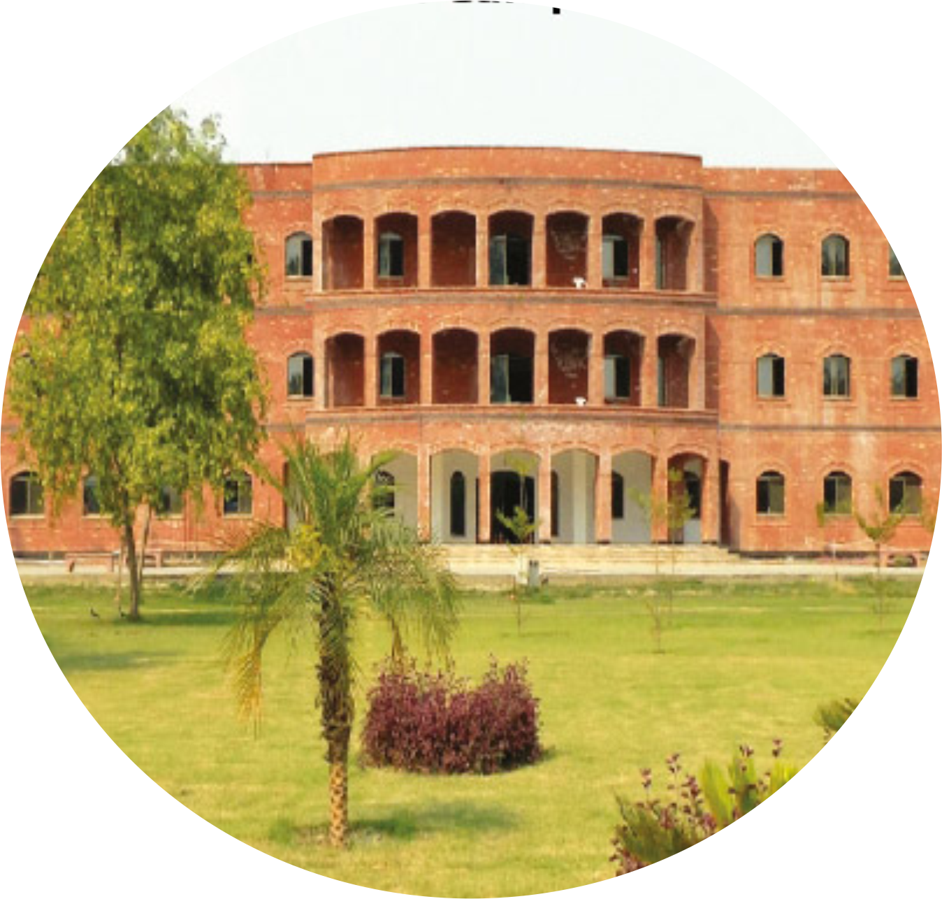 Riphah International University Sahiwal